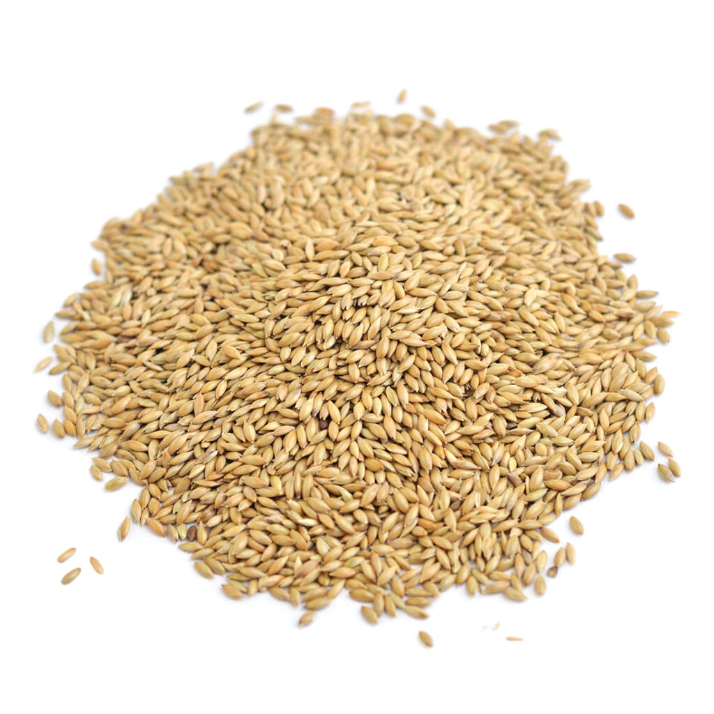 Alpiste para humanos | pepe y pepita